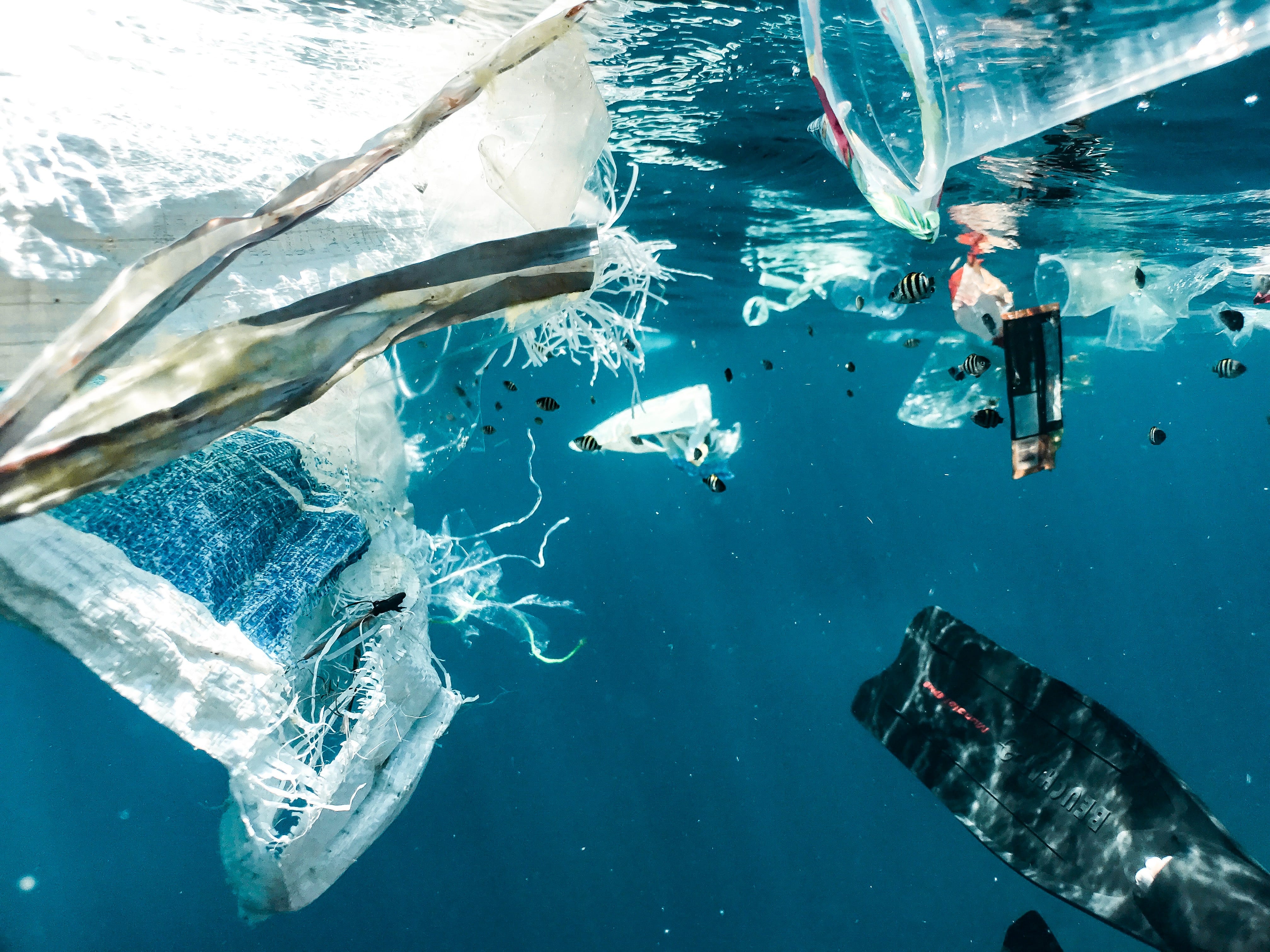Marine Pollution Control