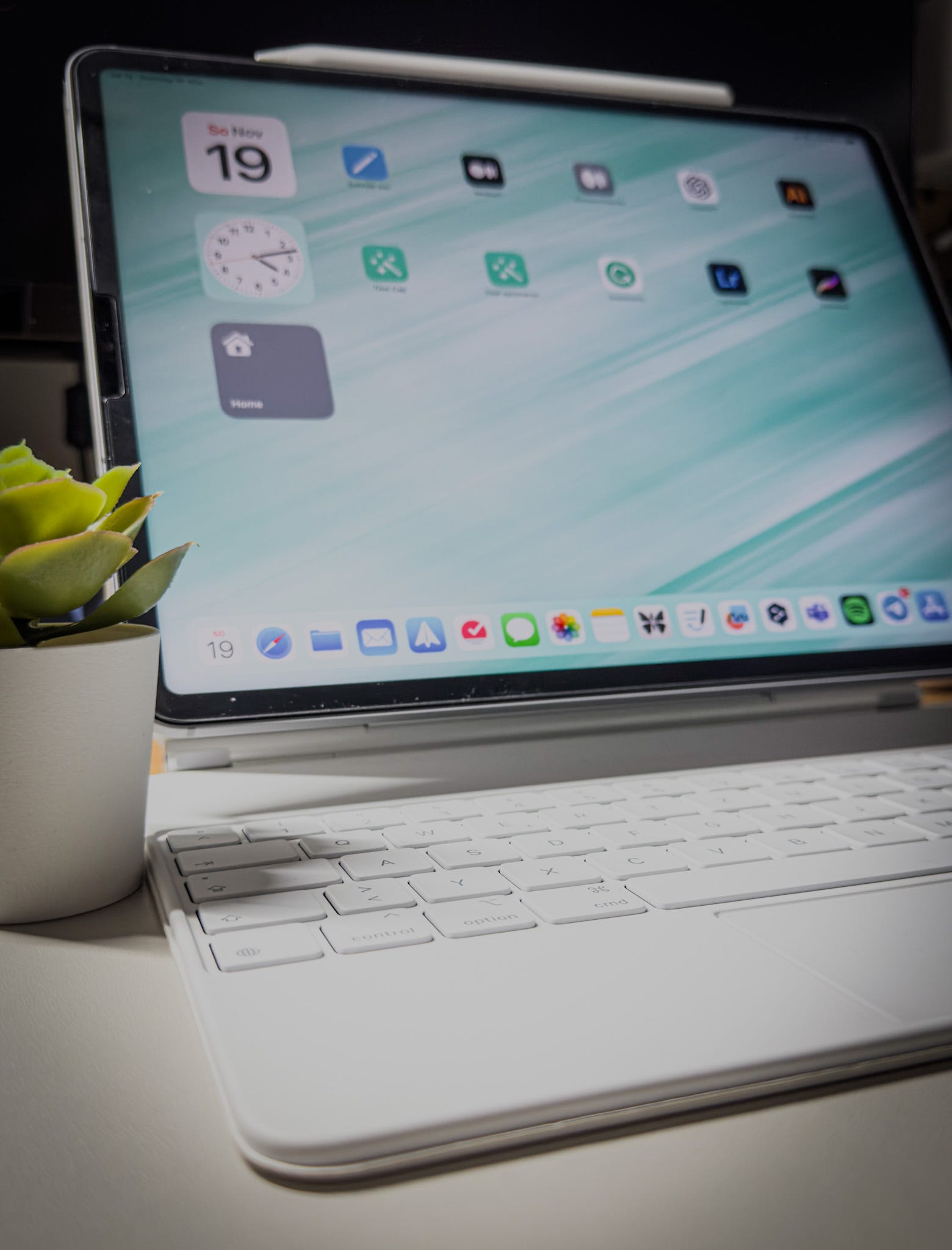 Using Ipad At Home