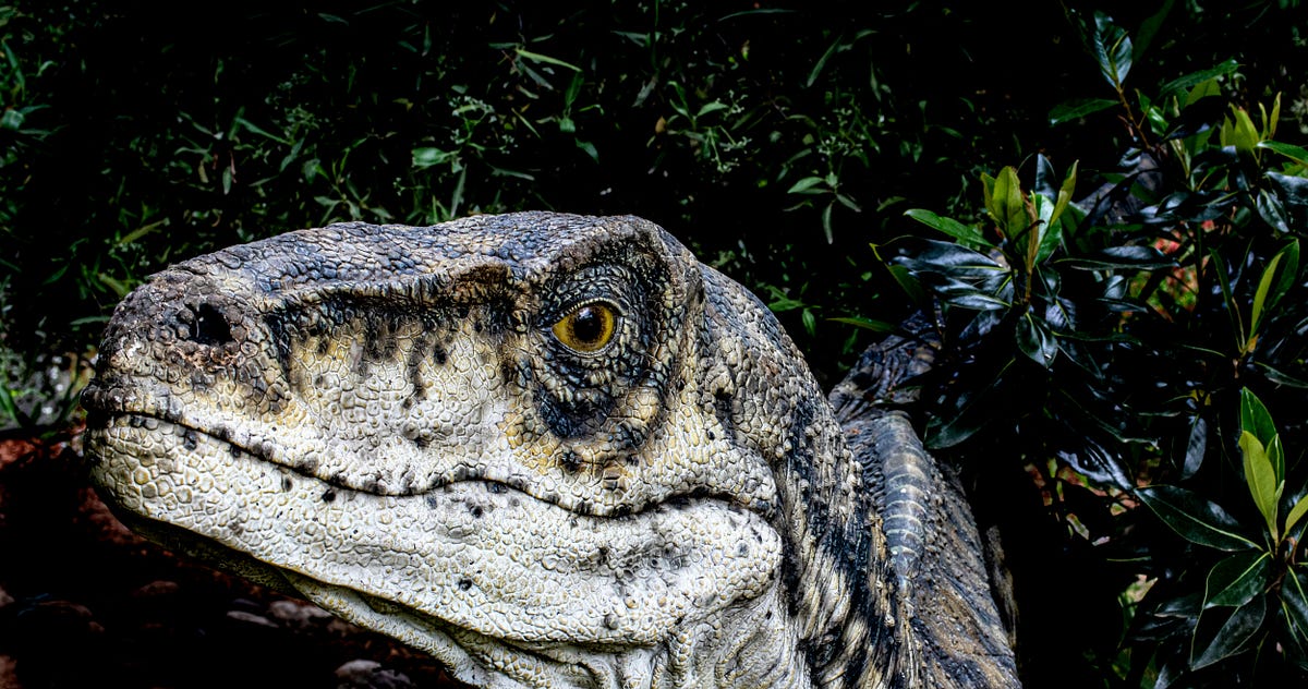 Cloned Dinosaurs: Authentic Reproductions or Genetic Hybrids? | by ...