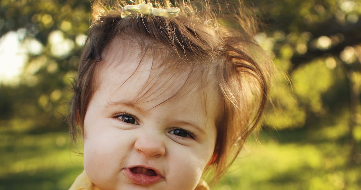 Let’s Go Look. Adult lessons from when my daughter was… | by David J. Elrod | ENGAGE | Medium