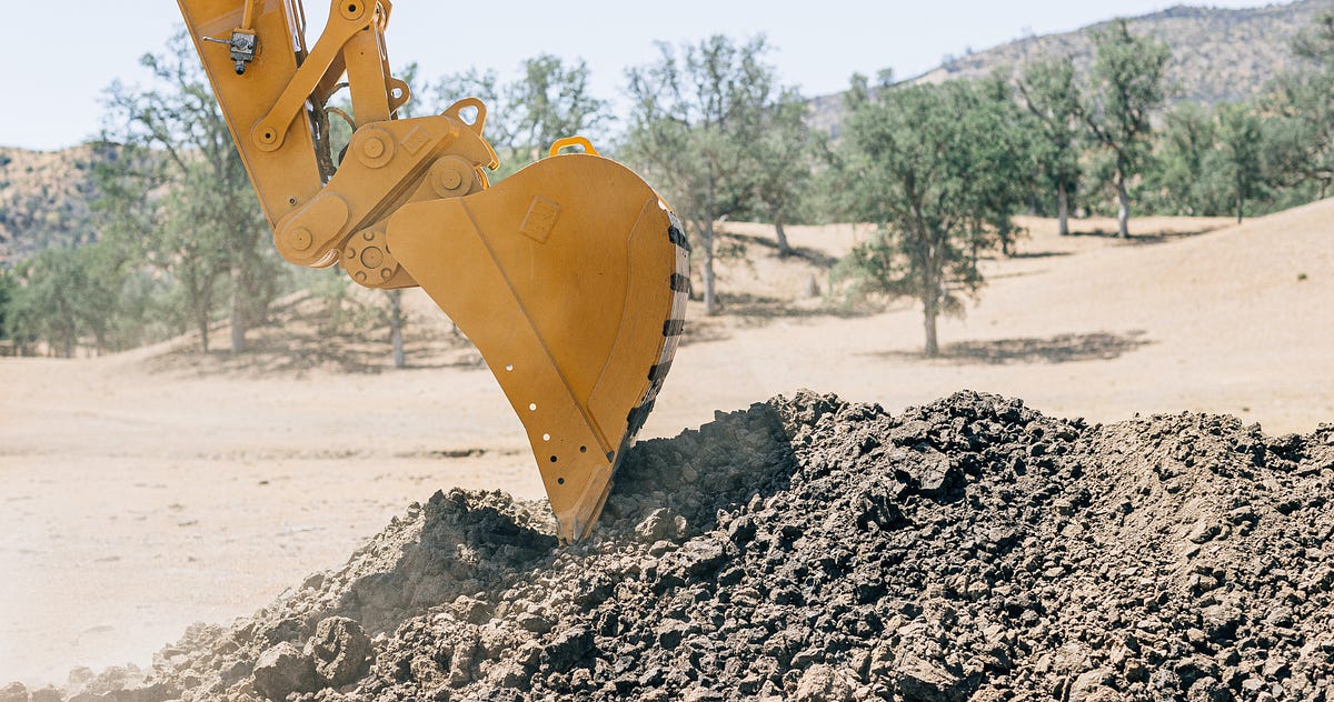 We’ve Been Digging!. November Issue # 3 due Nov. 30 | by Vera-Marie Landi | Digging Up Bones ...