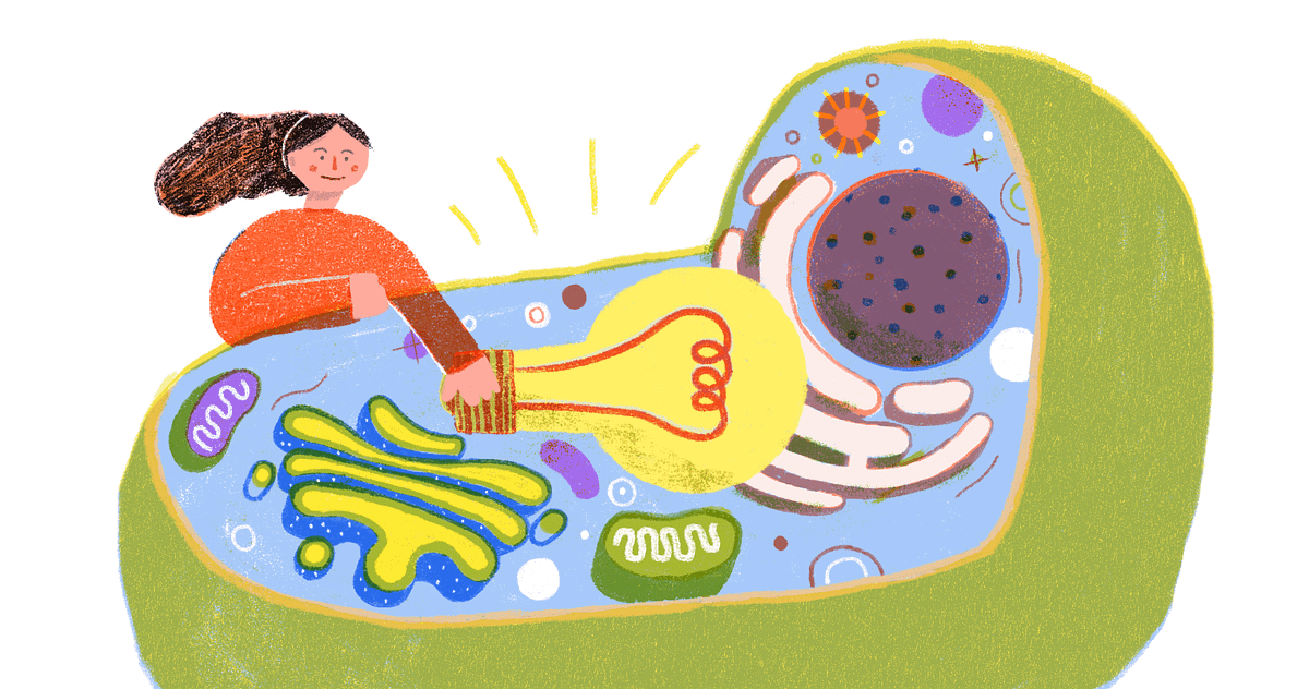 The Science Behind Eureka Moments | by Markham Heid | Elemental