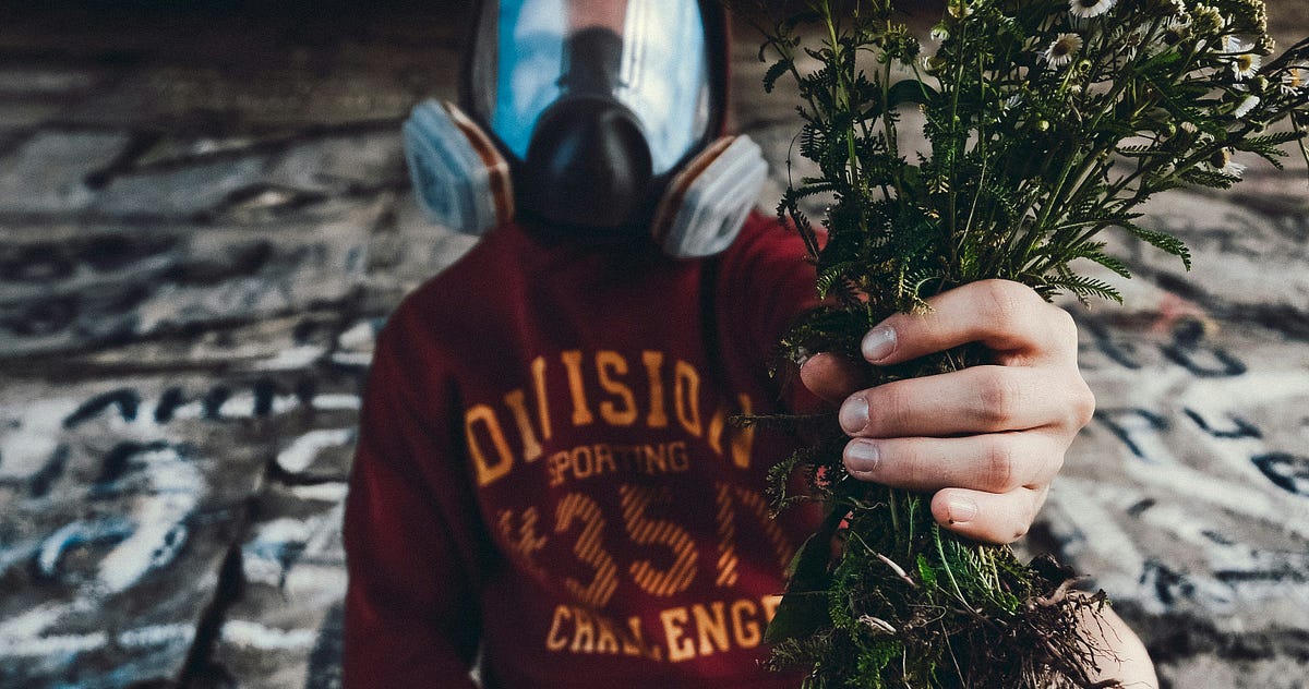 Why It’s Imperative to Recognize and Fix Our Toxic Traits | by Matthew ...