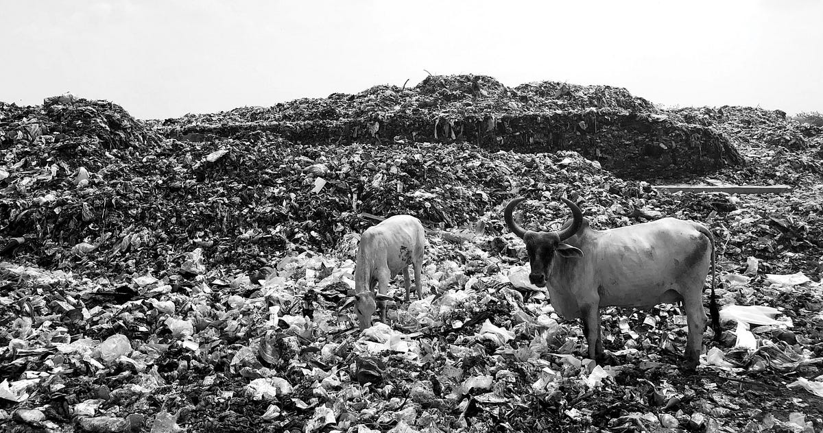 A Personal History and Future of Society’s Garbage | by Matthew Clapham ...