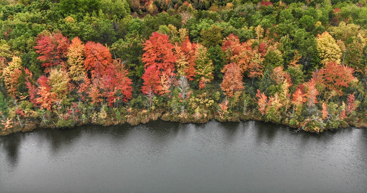 Nature’s Postcards. Those first Autumn weeks, | by Matthew Donnellon ...