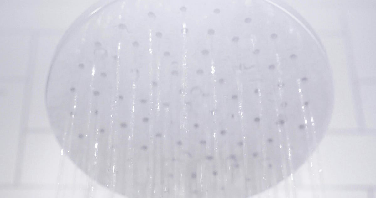 The Struggle Just to Get Into the Shower | by Matthew Maniaci | Thing a ...