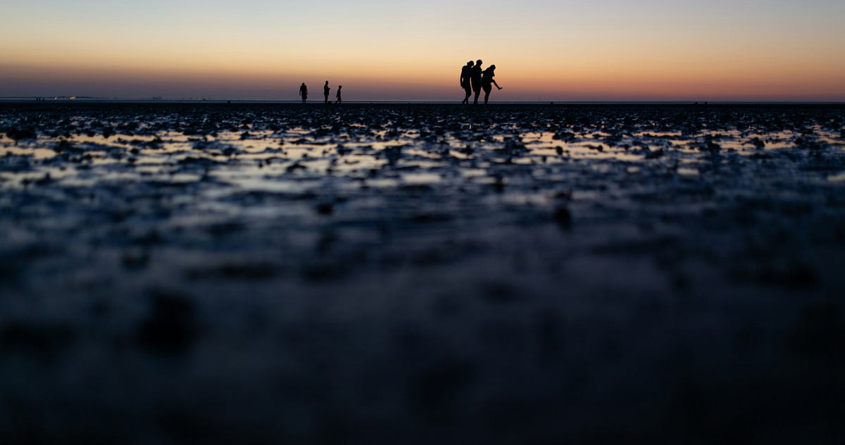 The Guru and the Stragglers. A tale of fear and suspicion | by Matthew ...