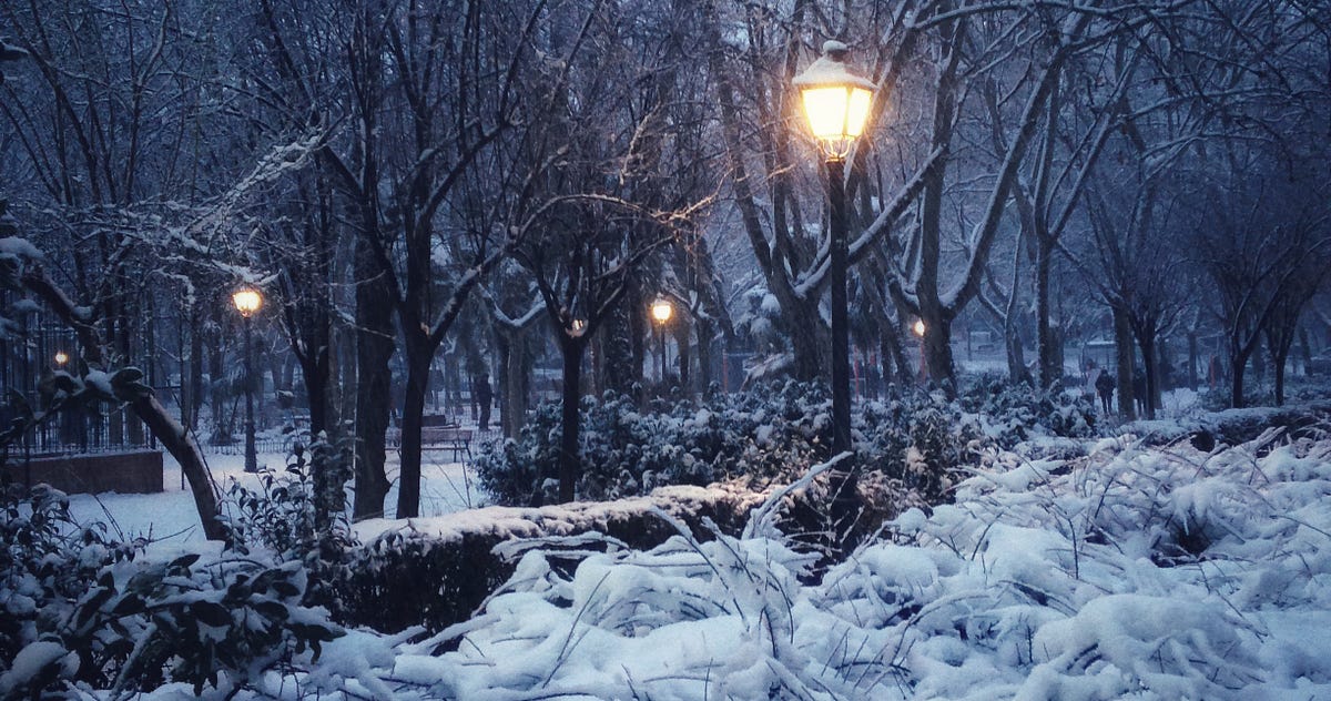One Magical Winter Night. A Snow Story | by Mireille | Promptly Written ...