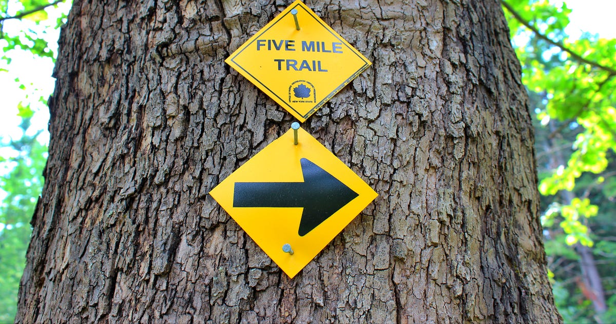 How to return object literals from arrow functions in JavaScript | by Dr. Derek Austin 🥳 ...