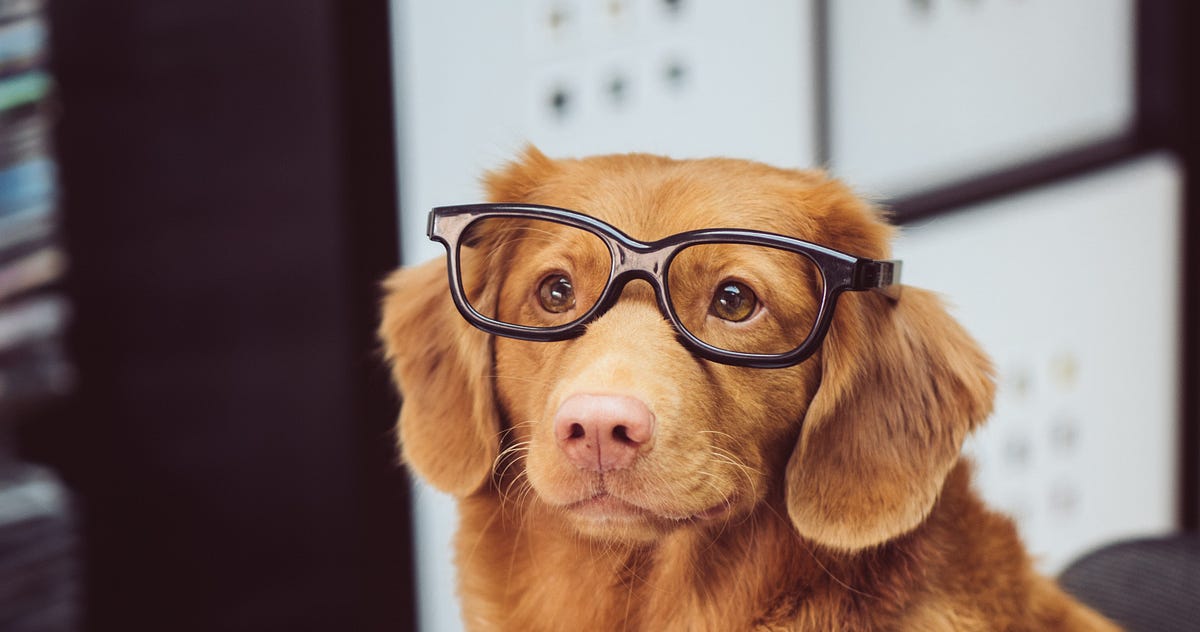 How To Use the Built-In InstanceType Type in TypeScript | by Dr. Derek Austin 🥳 | Totally ...