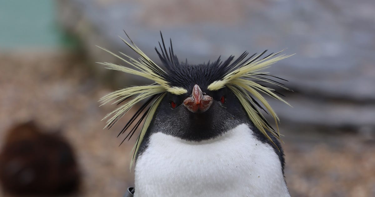 5 Reasons I Always Prefer Default Exports in React TypeScript Projects ...