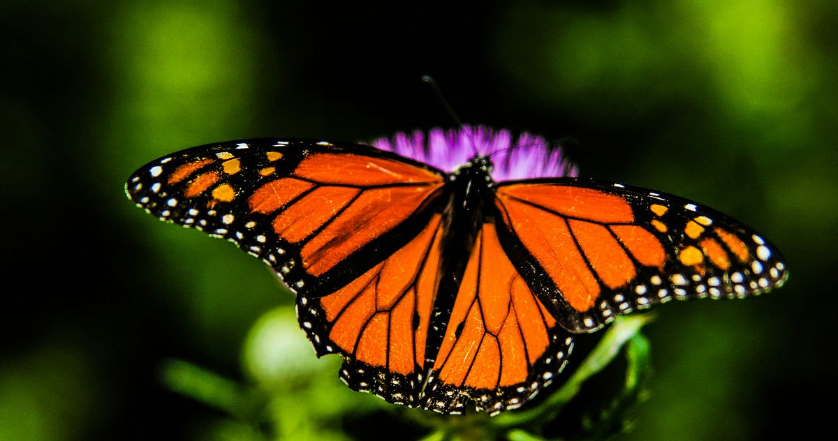 How 10 Years of Therapy Changed My Life | by Amanda Melheim | Counter ...