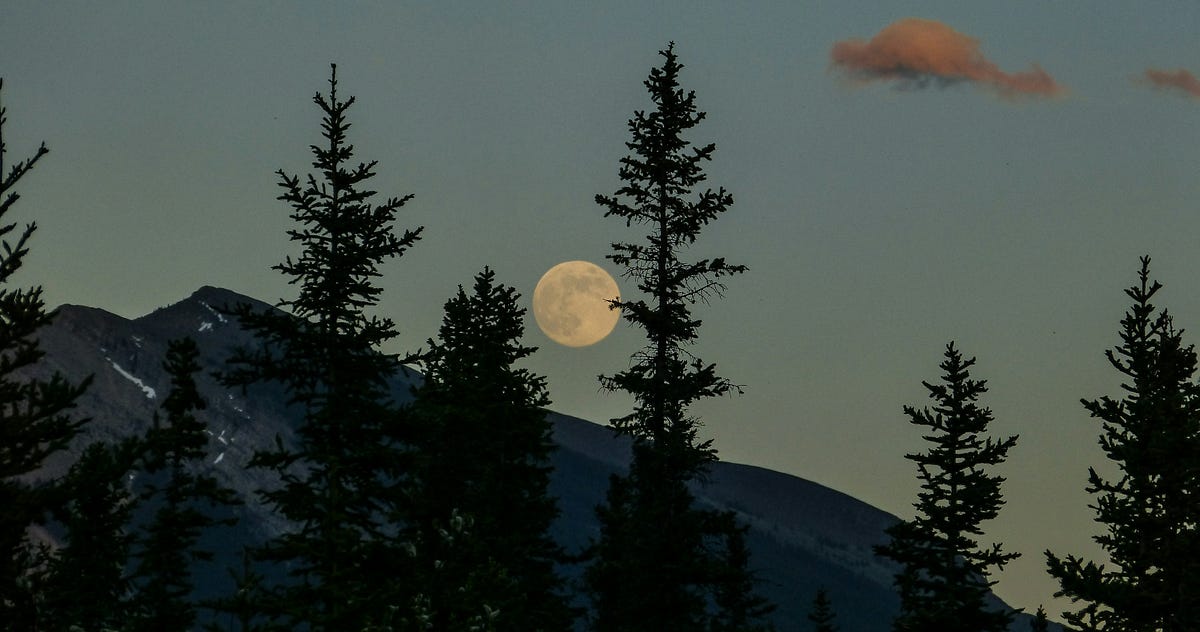 The Smudged Linen Moon - Scribe - Medium
