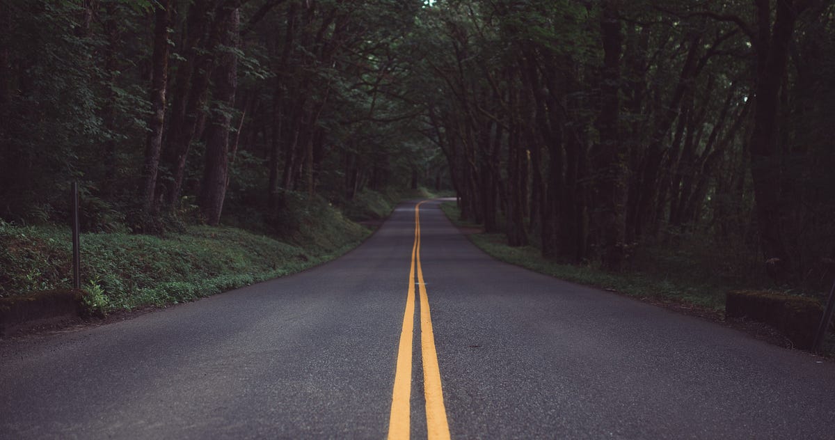 Should Vegans Eat Roadkill?. Meat is never vegan… or is it? I… | by jay ...