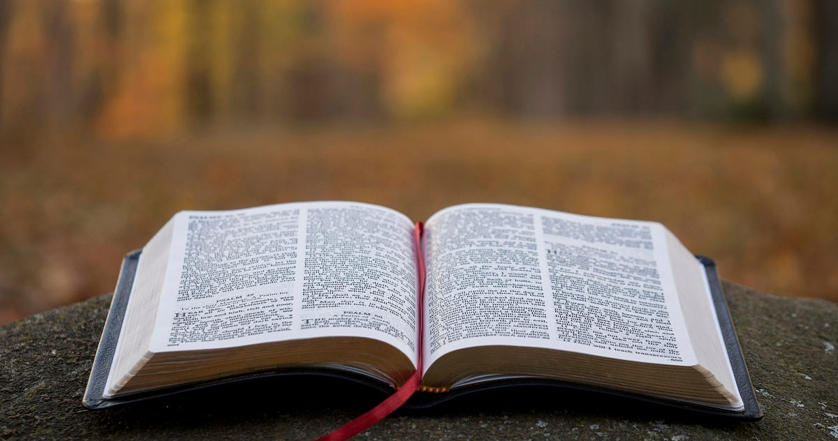 Implement Optical Character Recognition App Using Python And Tesseract By Viktoriia Untilova