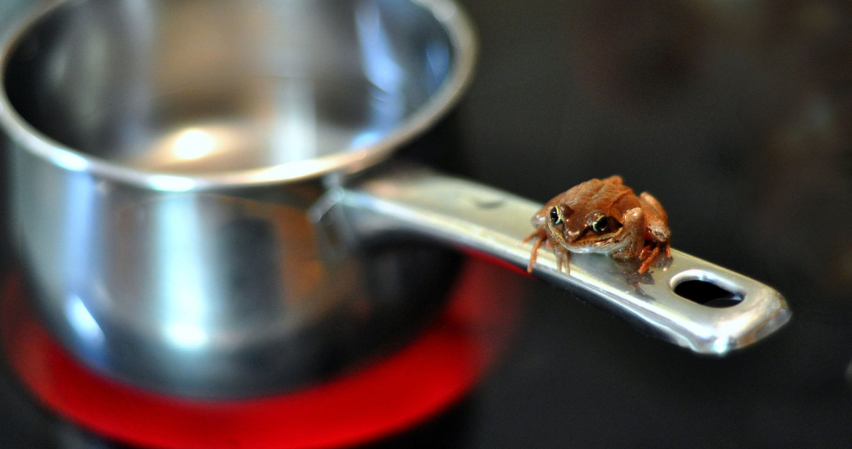 Tame Database Complexity With SqlDBM and dbt | by Serge Gershkovich | SqlDBM