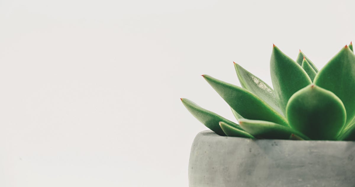 How to Make Your Python Code More Elegant | by Shun-Hsun Liang | Better Programming