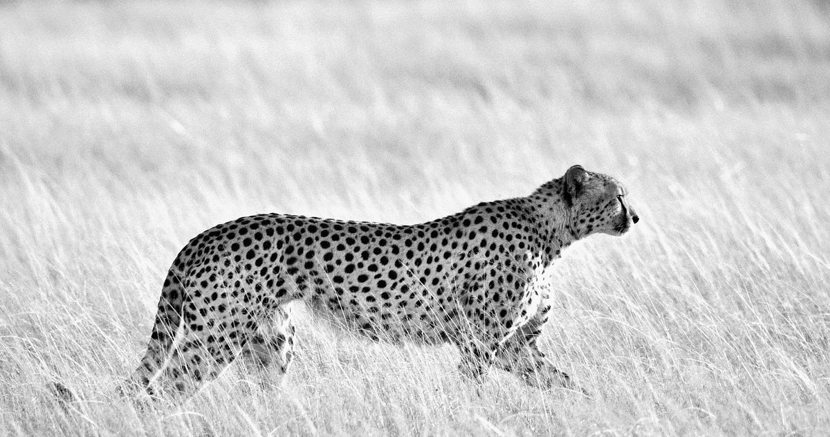 Tachyons — Weird, Faster than Light Particles That do NOT Violate ...