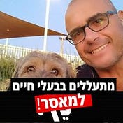 Binyamin Shemesh – Medium