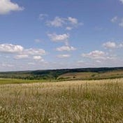 Dima Kynal – Medium