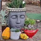 Mary Anne Foxworth – Medium