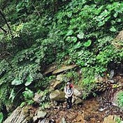 Yu Han Lin – Medium