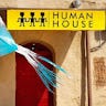 Human House – Medium
