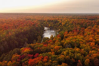 List: Motion Detection | Curated by Isaac Berrios | Medium