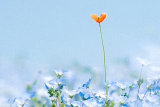 The most insightful stories about Medium - Medium