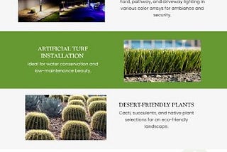 Eclipse Landscape & Design – Medium