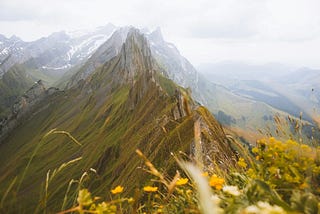 Juwairiyah рџќђ вђ Medium