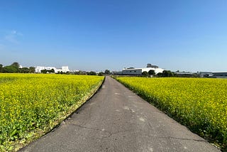 Terry Ang – Medium