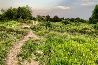 The most insightful stories about History - Medium