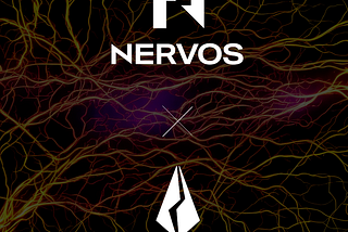 Perun Network – Medium