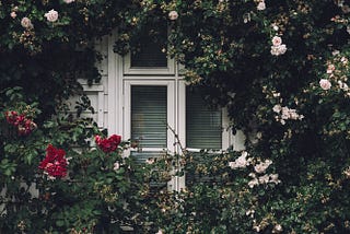 Tabitha Robbins – Medium