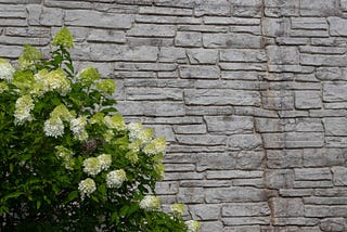 Custom Rock Formliner – Medium