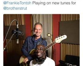 Brother Strut – Medium