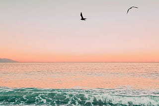 Danyelle Mustafa – Medium