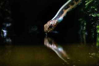 Python Unit Tests with pytest Guide | Avel Docquin | Medium