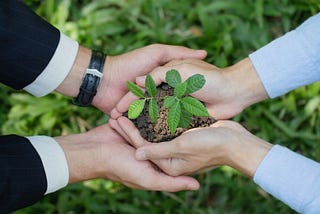 Young Eden – Medium