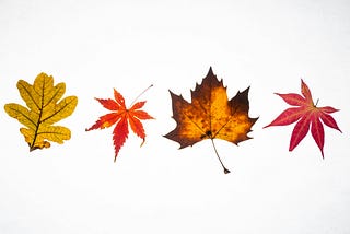 The most insightful stories about Inspiration - Medium