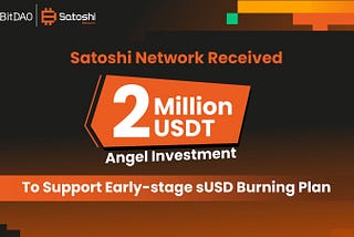 Satoshi Network – Medium