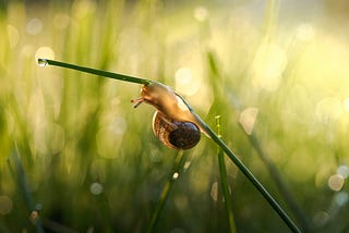 The most insightful stories about Inspiration - Medium