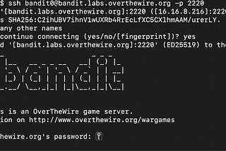 The_void1 – Medium