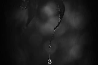 Lucas Simon – Medium