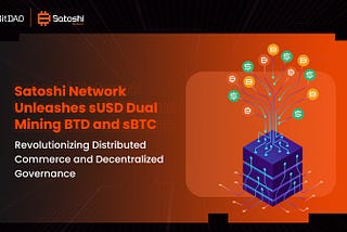 Satoshi Network – Medium