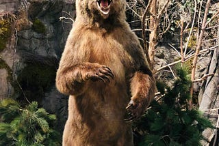The Professor Bear – Medium