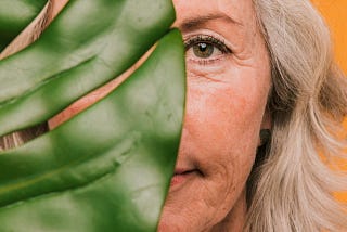 SkincareJunkies – Medium