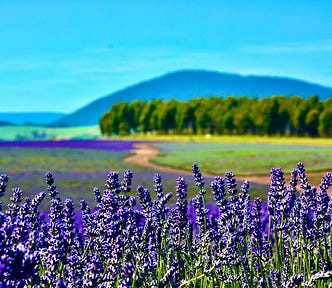 Ray Payette on Medium curated some lists