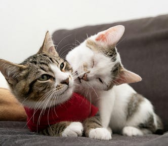 The most insightful stories about Deep Learning - Medium